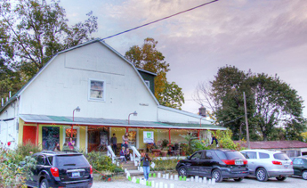 Theatre Nova | Michigan