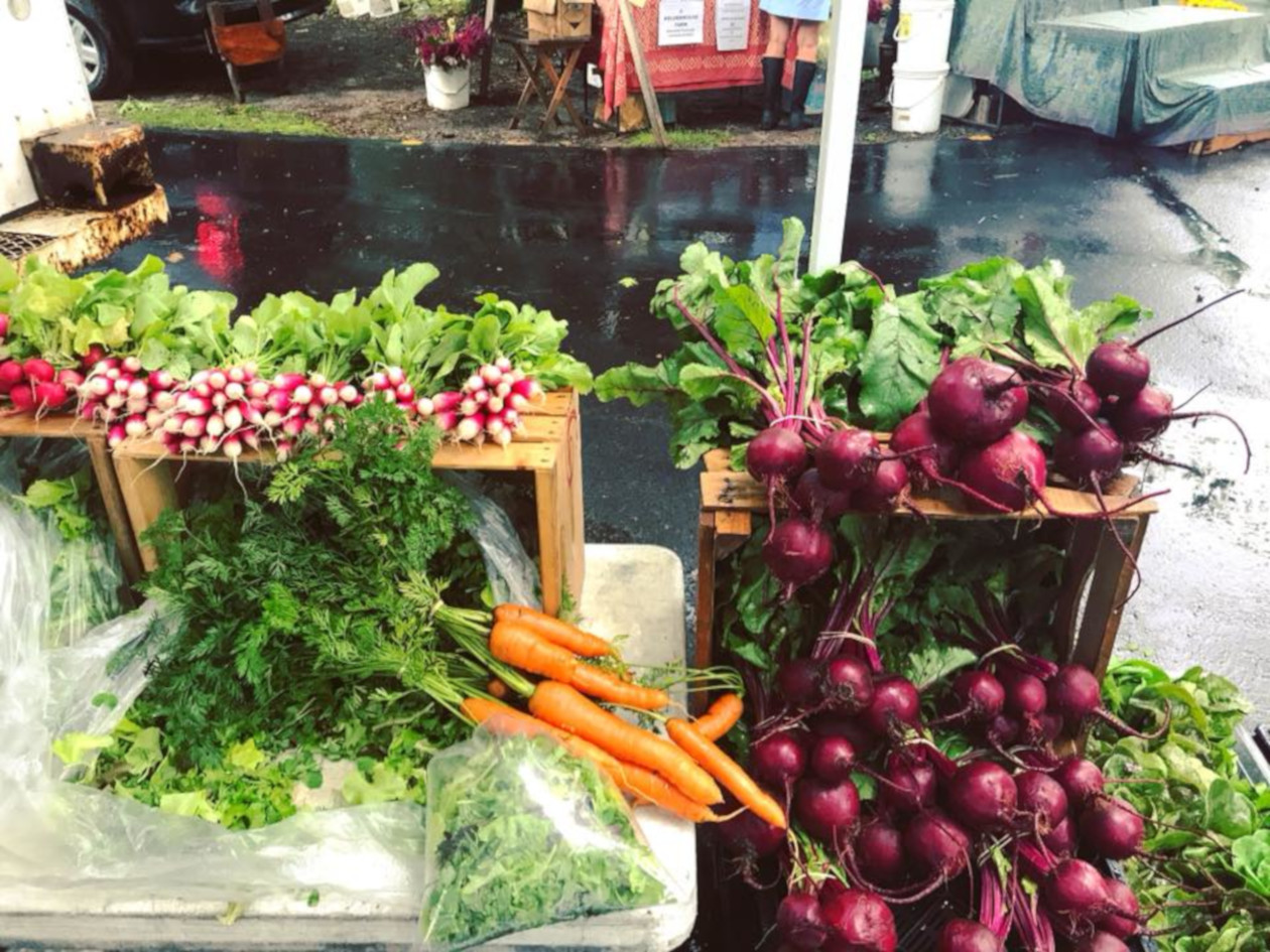 9 Bean Rows | Michigan