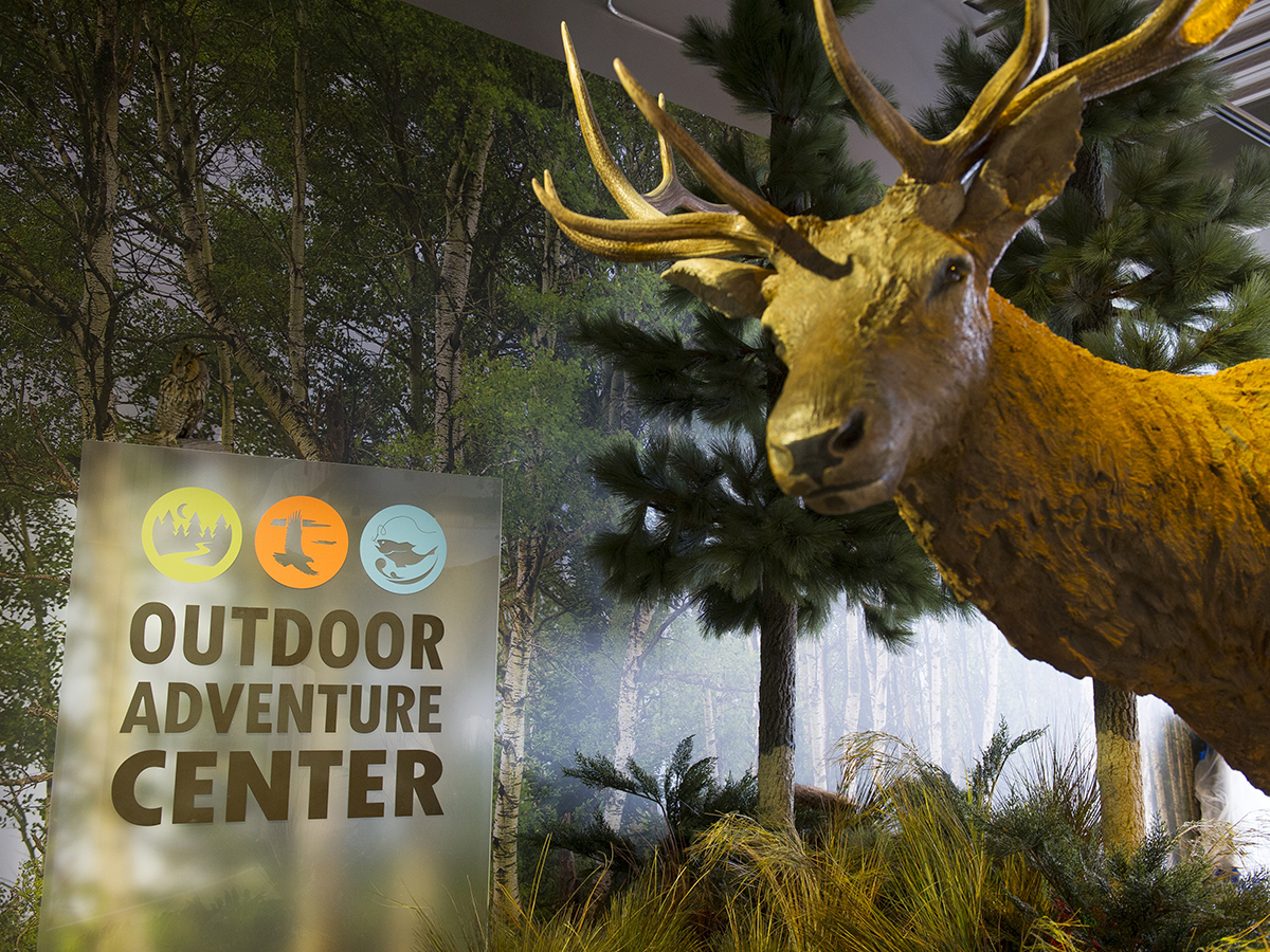 Outdoor Adventure Center | Michigan