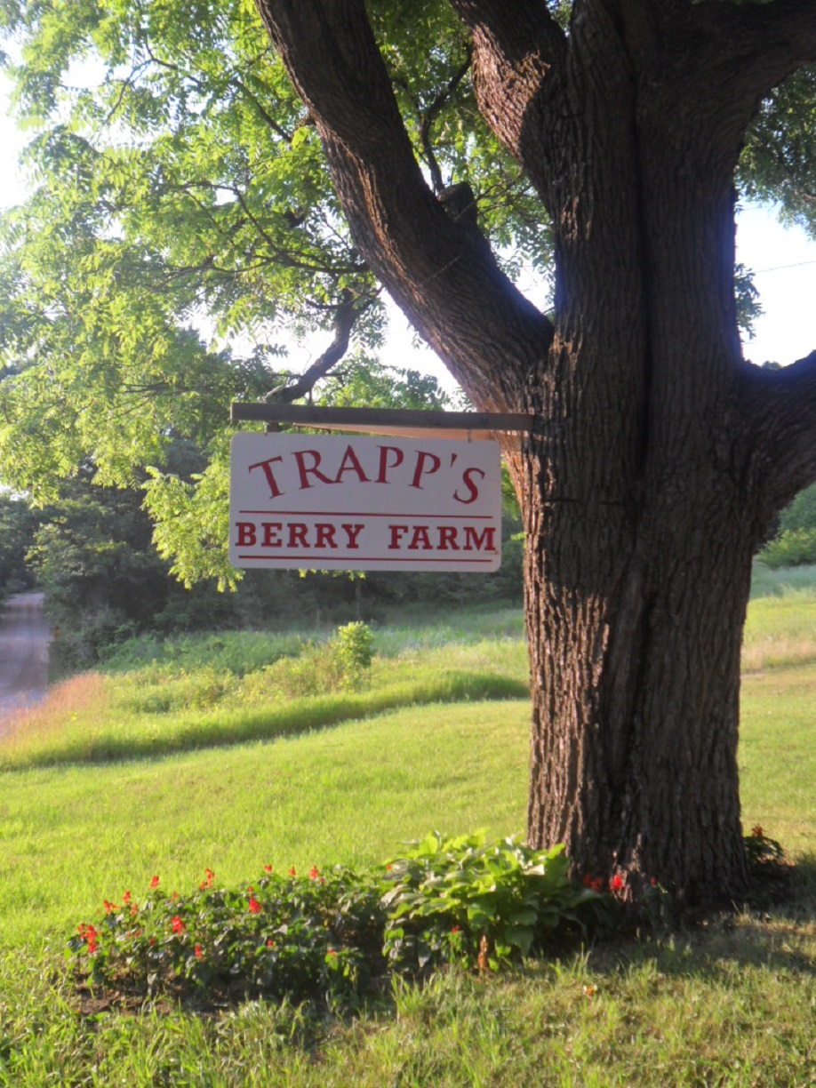 Trapp's Berry Farm | Michigan