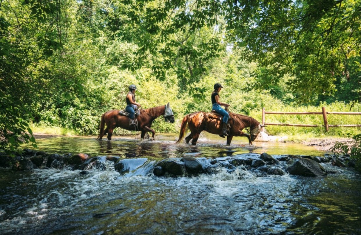 Waterloo Recreation Area | Michigan