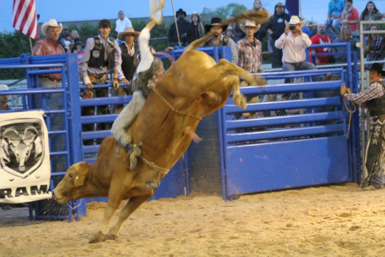 Cheboygan County Fairgrounds | Michigan