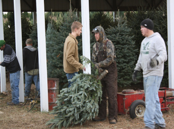 Hart Tree Farms | Michigan