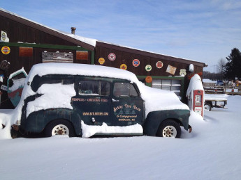 Butler Tree Farm | Michigan