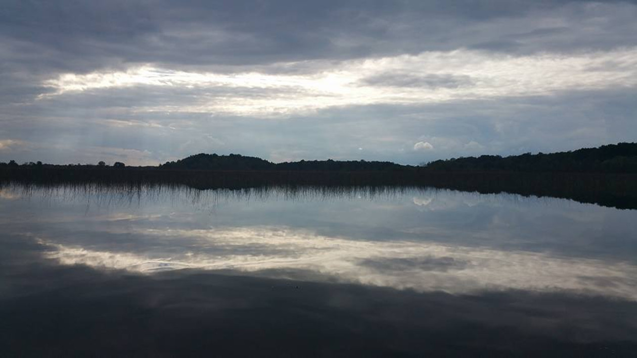 Chelsea State Game Area | Michigan