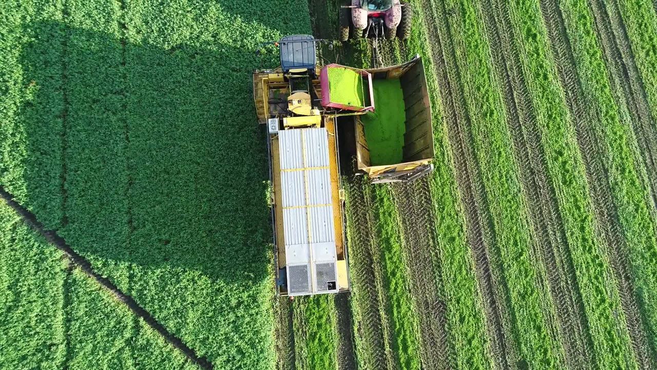 Gerber Products Company | Michigan