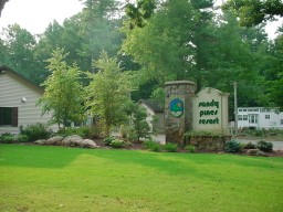 Sandy Pines | Michigan