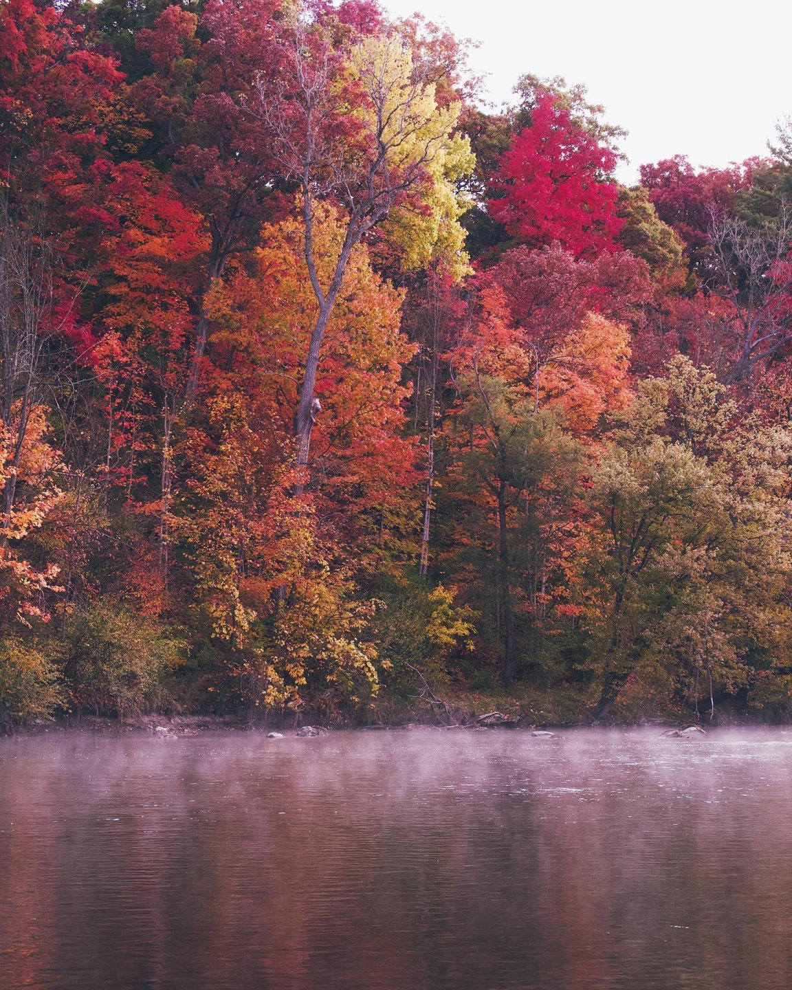 Riverview Park - Flushing | Michigan