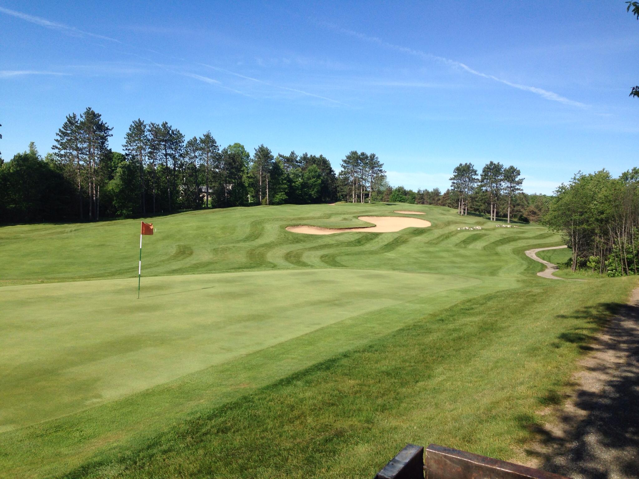 Timber Wolf Golf Club | Michigan