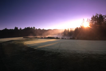 The Heather | Michigan