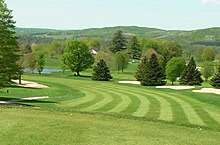 The Alpine | Michigan