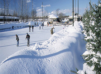 Ice Rink at Millennium Park | Michigan