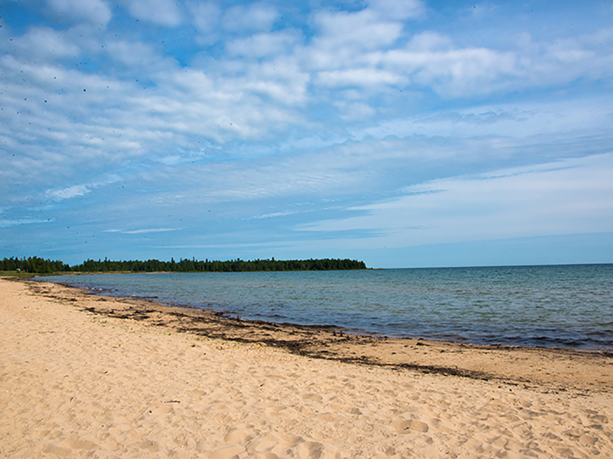 Hog Island Point State Forest Campground | Michigan