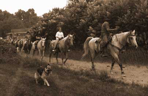 Rockin' R Ranch & Rodeo | Michigan