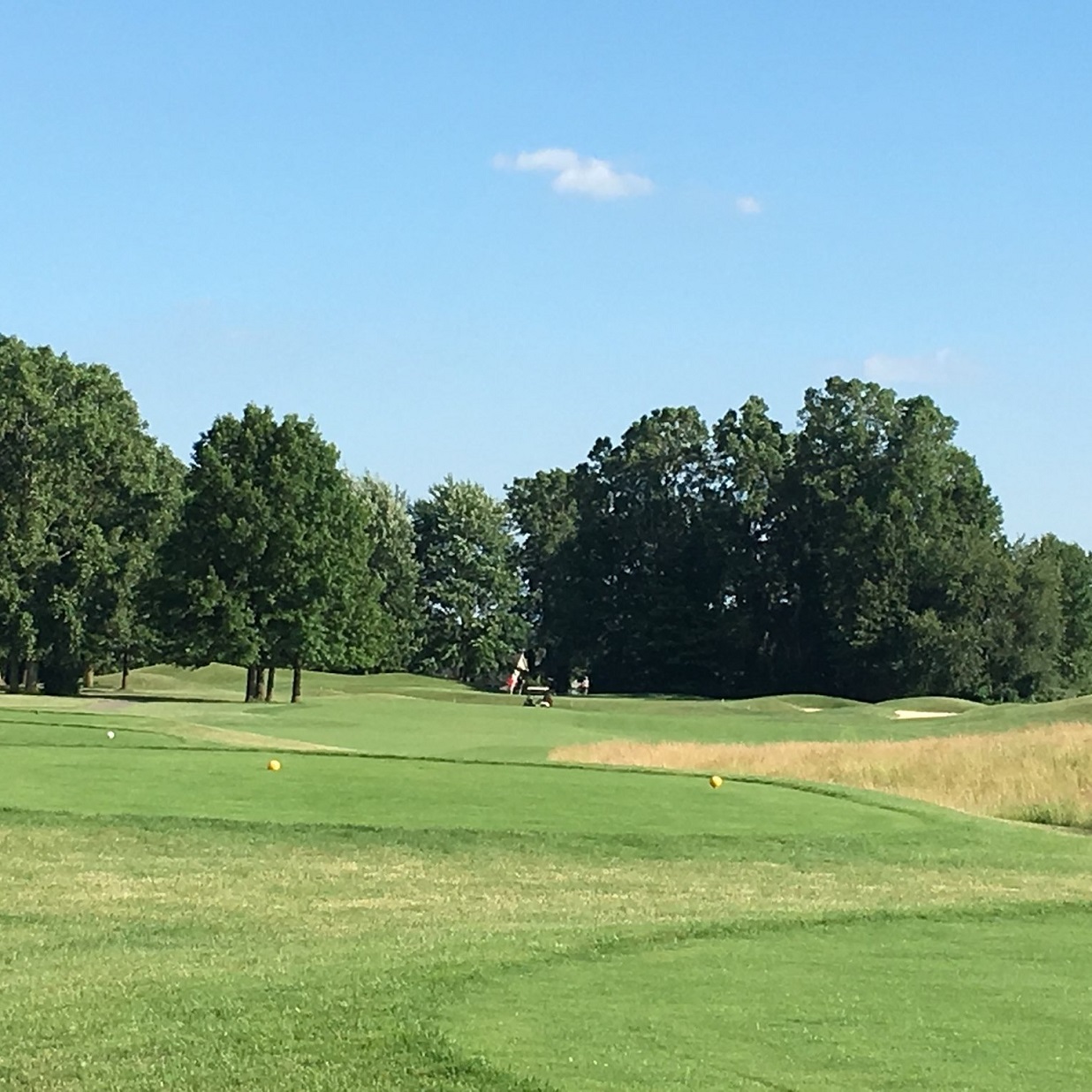 Links At Gateway Golf Club | Michigan