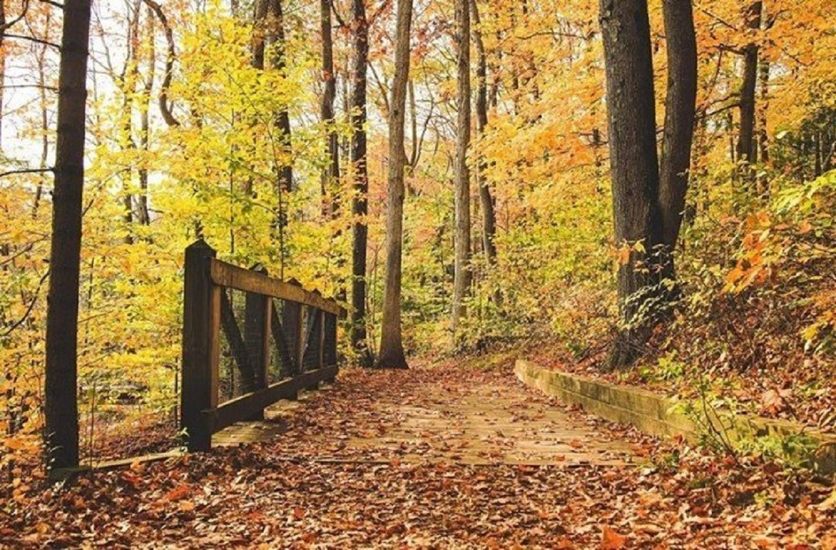 Hemlock Crossing County Park and Nature Education Center | Michigan