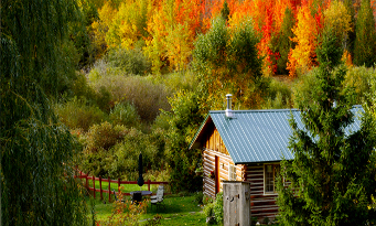 Century Farm Country Cottages | Michigan