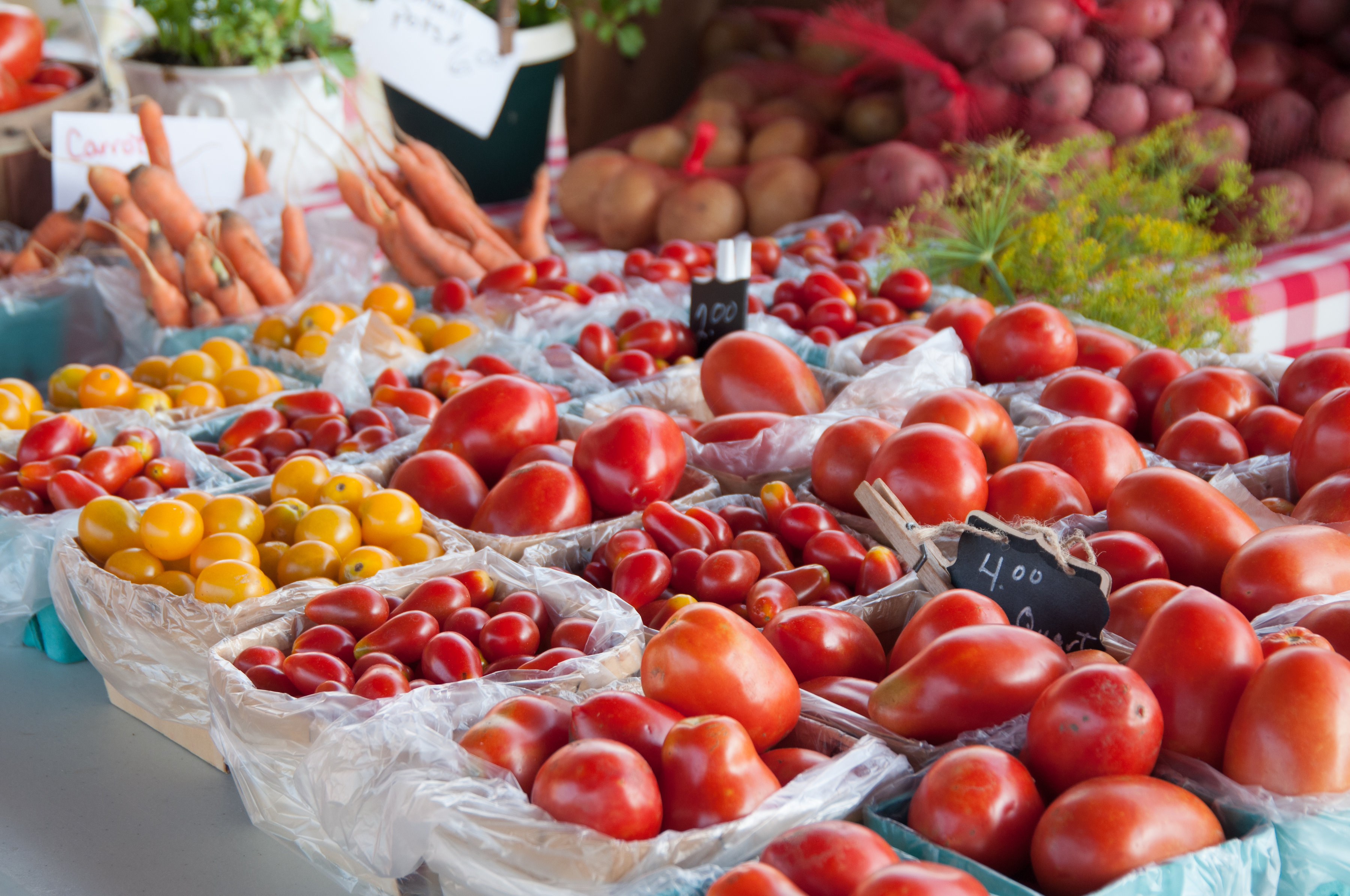 Frankenmuth Farmers Market | Michigan