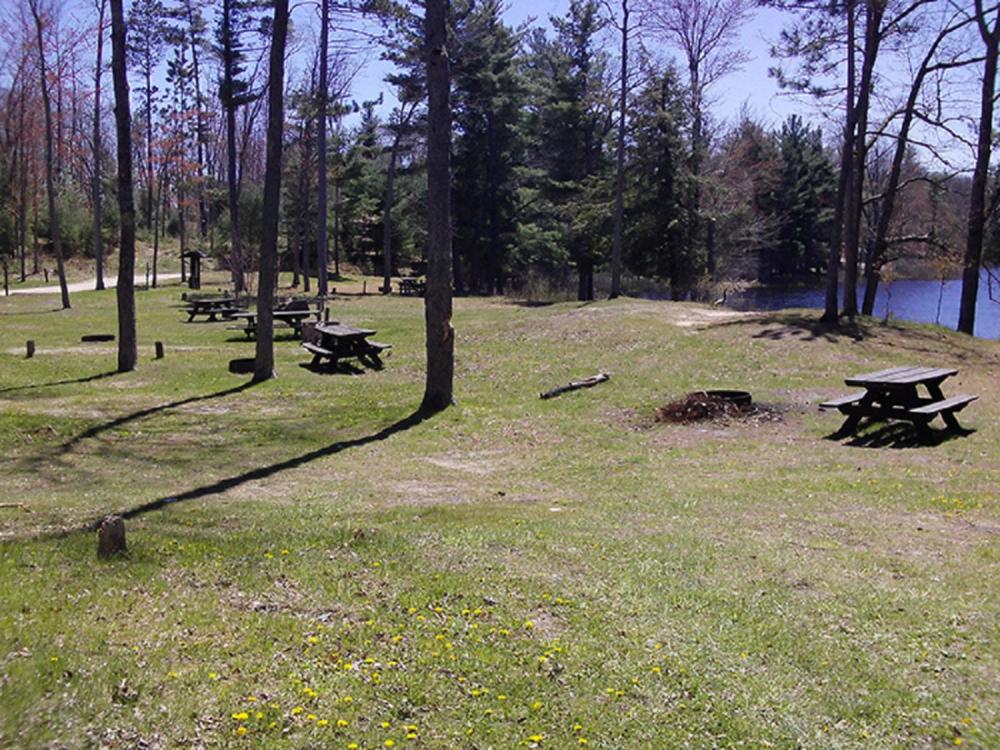 Long Lake Missaukee State Forest Campground Michigan