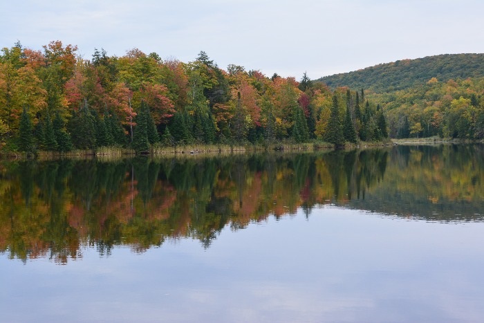 A Beginner's Guide to Hunting in Pure Michigan | Michigan