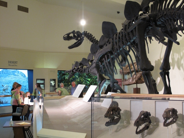 Ten Things to Do at MSU (Without Having to Go to Class!) | Michigan